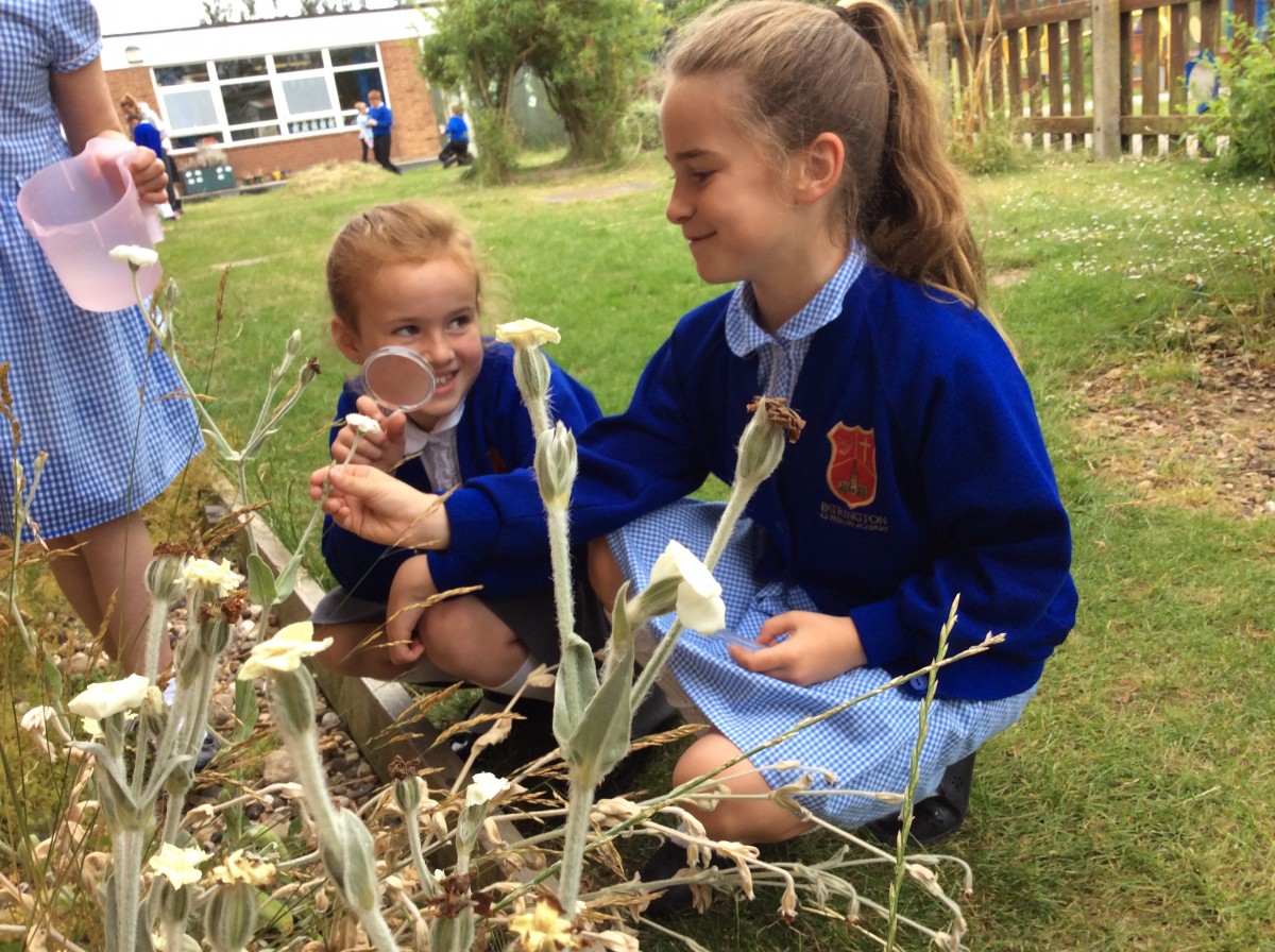 Patrington Church of England Primary Academy » Year 3 Science ...